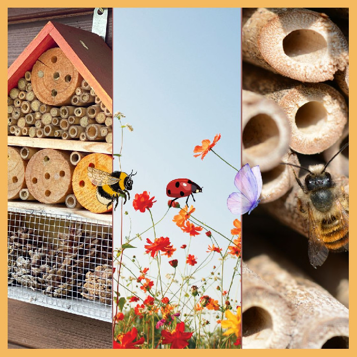 Insectenhotels en andere middelen aanschaffen om nuttige insecten te helpen